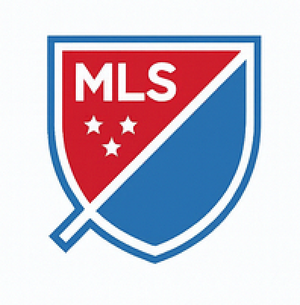 The BREATH BELT l The Ultimate Performance & Rehabilitation Belt